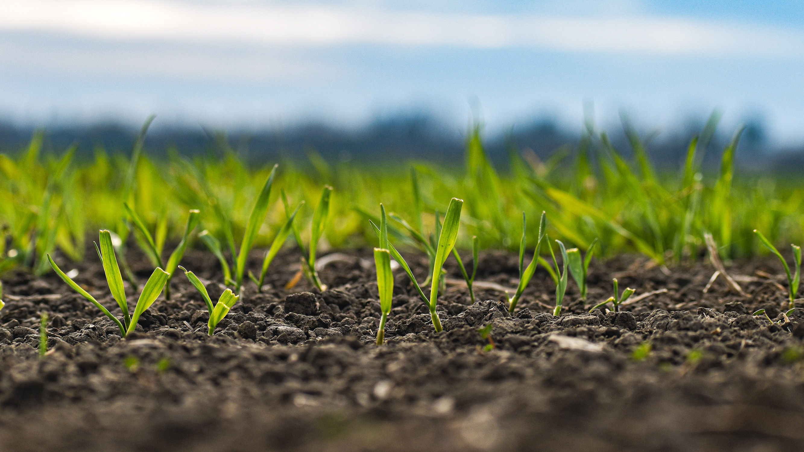 Nanotechnology paving the way for a sustainable future. Nium’s green ...